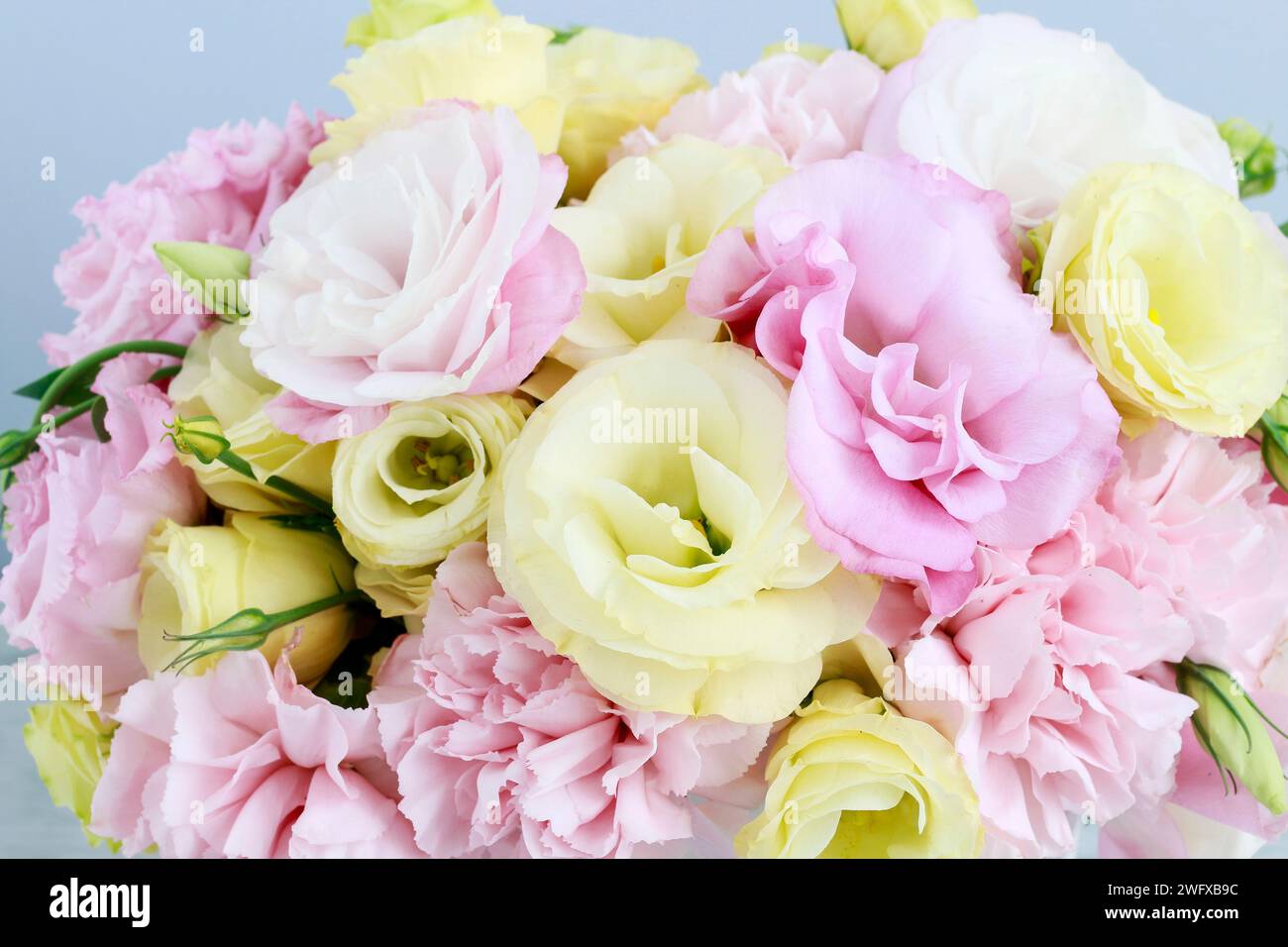 Floral arrangement with pink carnation and yellow eustoma flowers ...