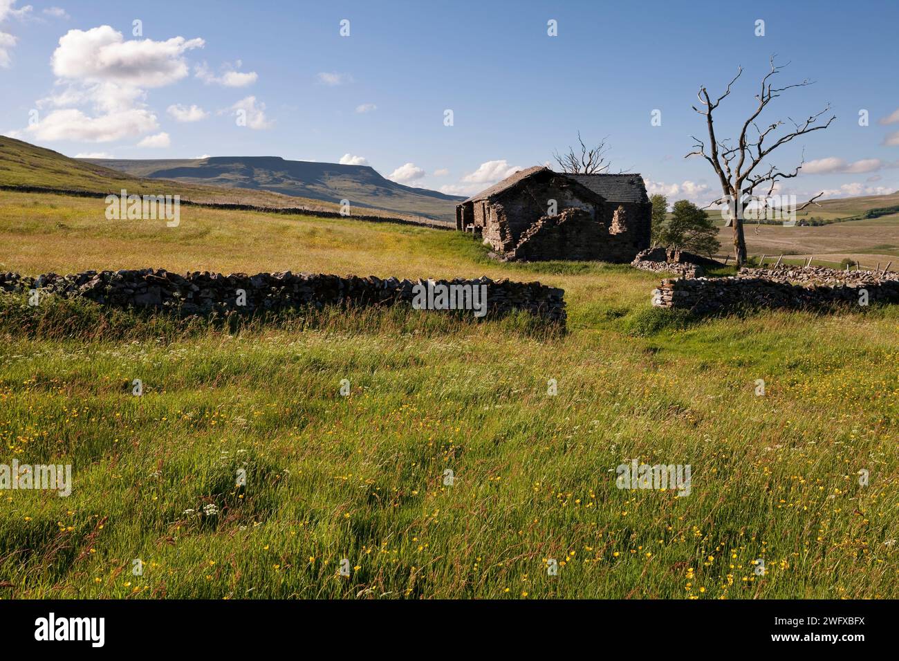 View of the Wild Boar Fell ridge from a ruined farmhouse in the Upper ...