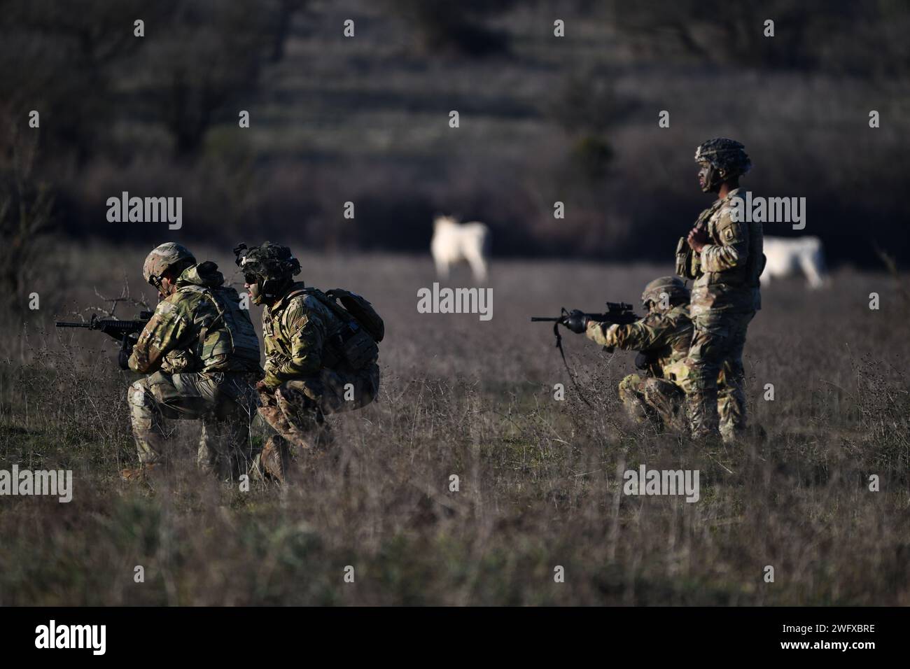 U.S. Army paratroopers assigned to the 173rd Brigade Support Battalion ...