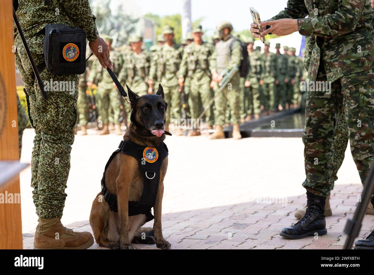 A military service dog with the Infantería de Marina de Colombia ...