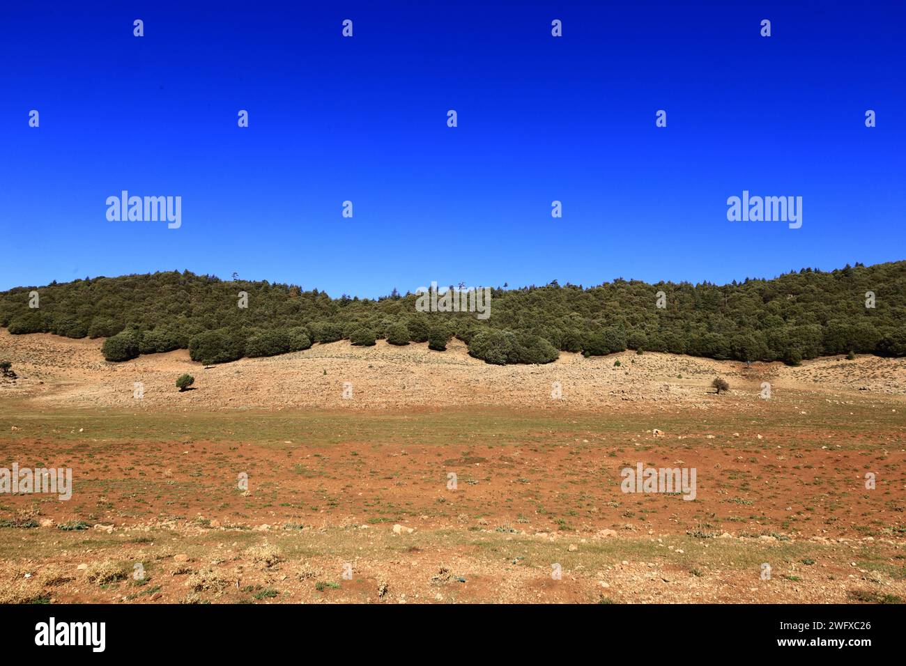 View on a mountain in the Middle Atlas which is a mountain range in ...