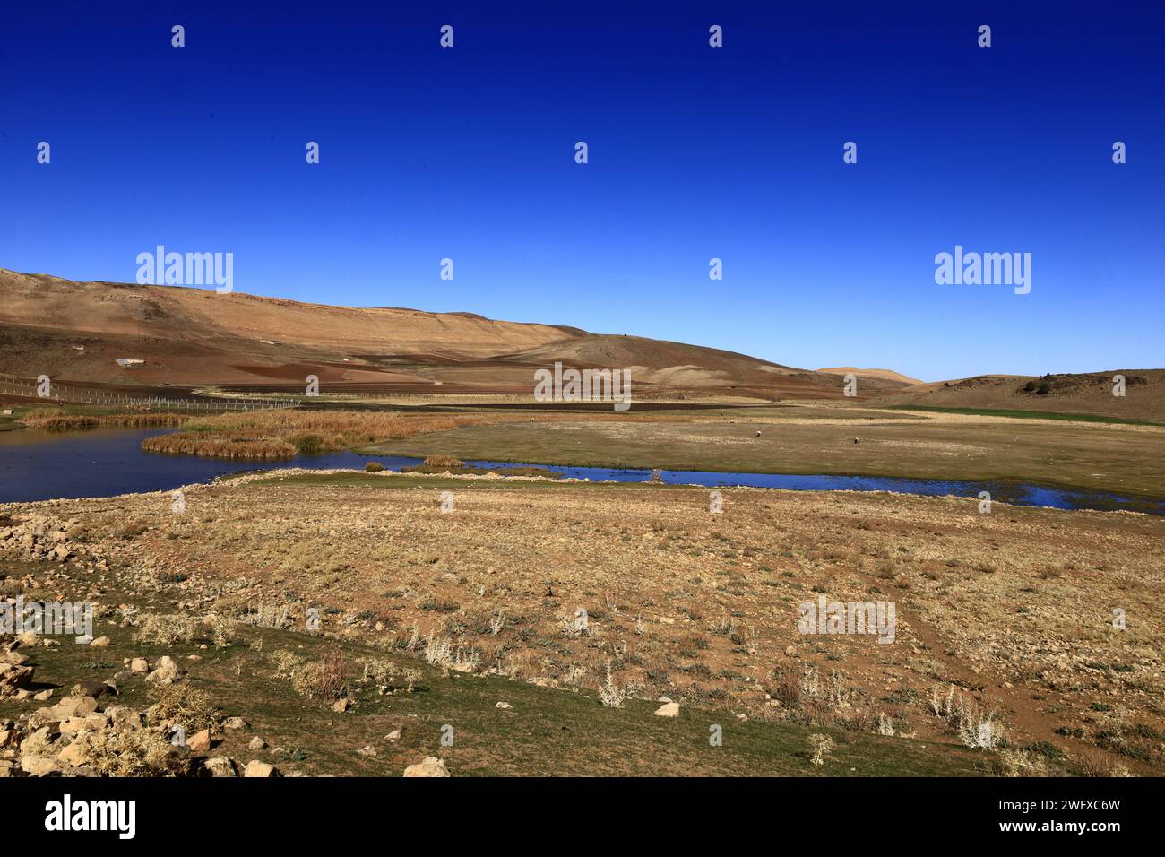 View on a mountain in the Middle Atlas which is a mountain range in ...