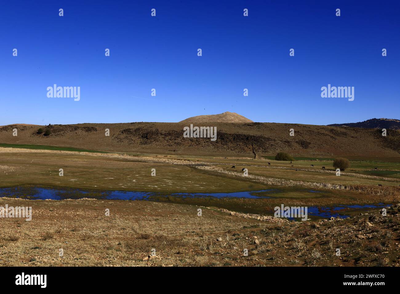 View on a mountain in the Middle Atlas which is a mountain range in ...