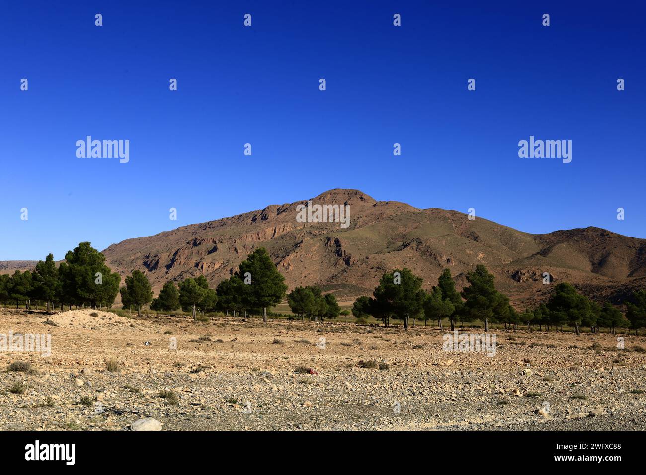 View on a mountain in the Middle Atlas which is a mountain range in ...