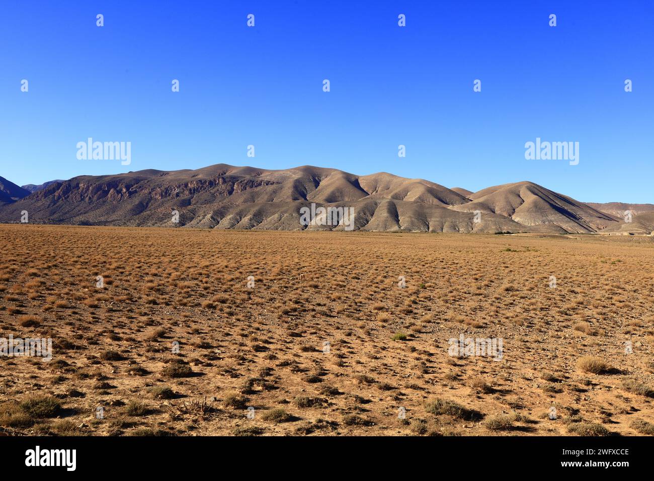 View on a mountain in the Middle Atlas which is a mountain range in ...