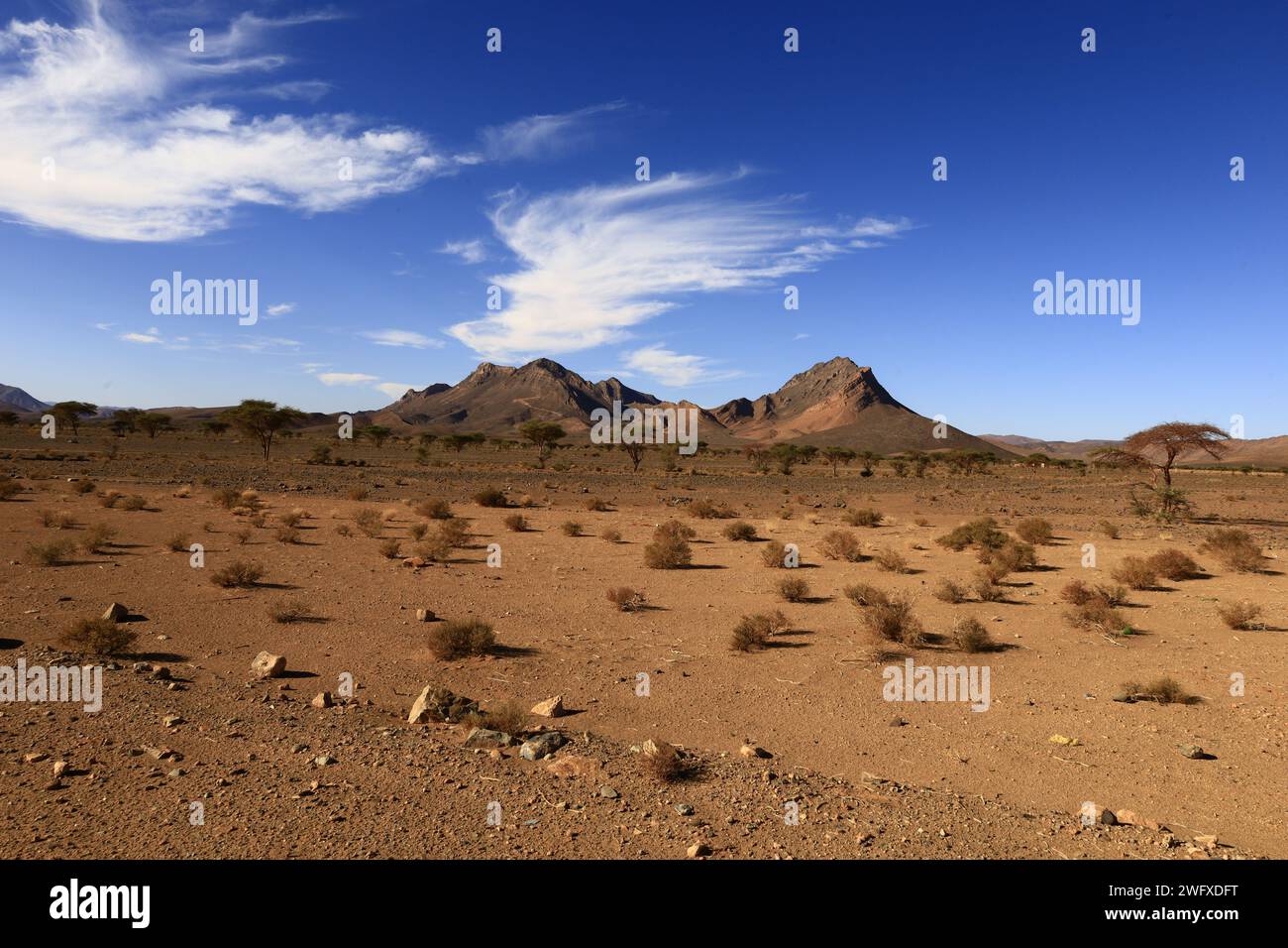View on a mountain in the Haut Atlas Oriental National Park located in ...
