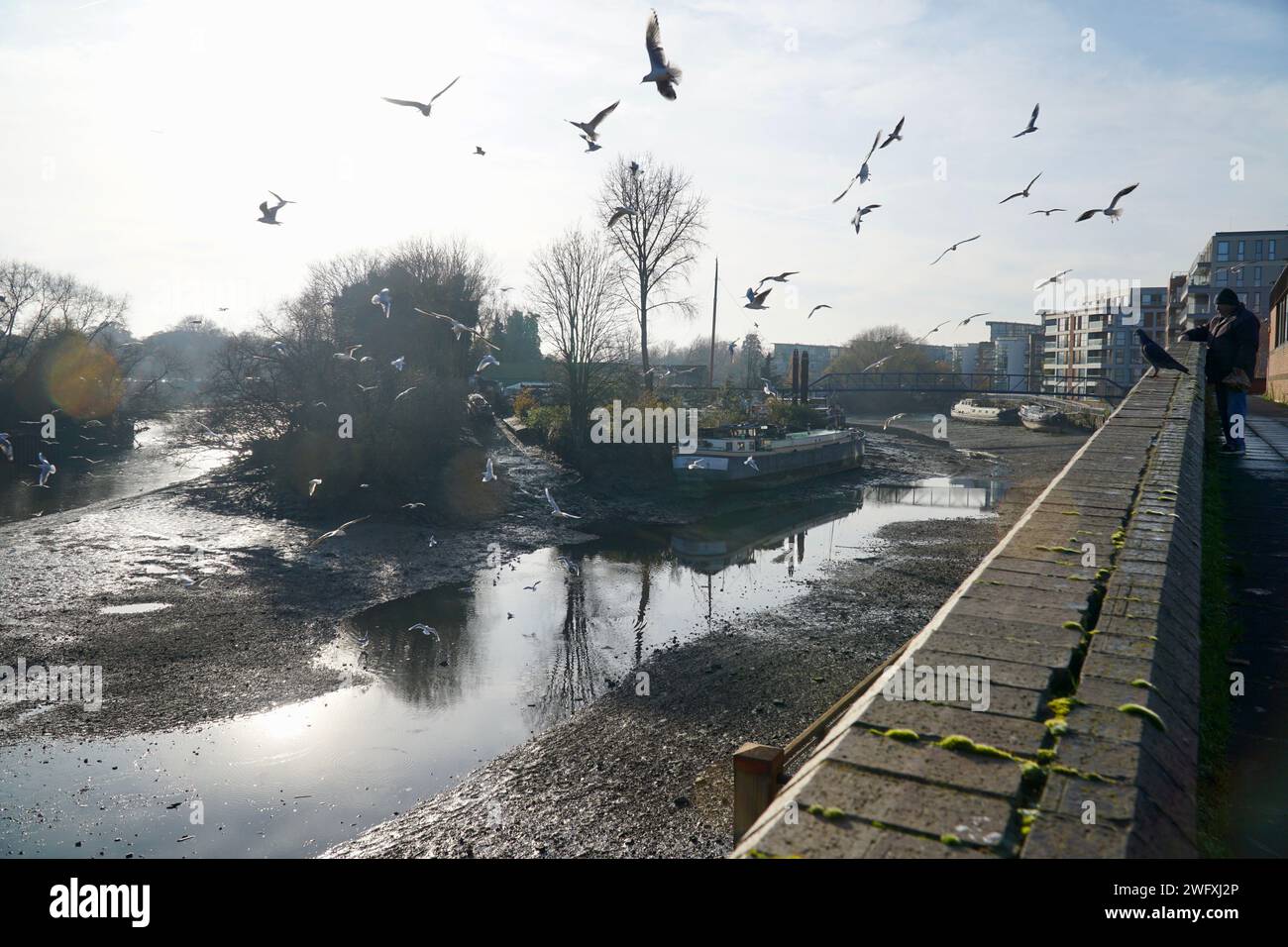Boat docks out of water hi-res stock photography and images - Alamy