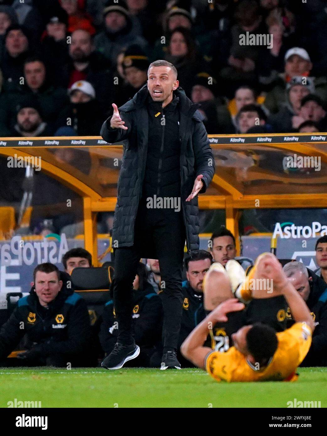 Gary oneil wolves 2024 hi-res stock photography and images - Alamy