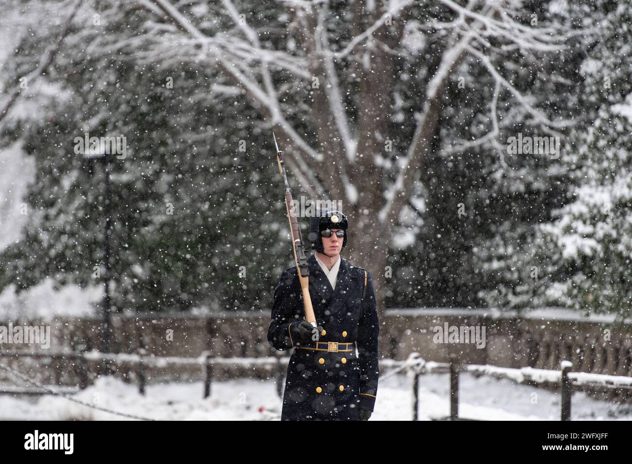 A tomb guard from the 3d U.S. Infantry Regiment (The Old Guard) walks ...