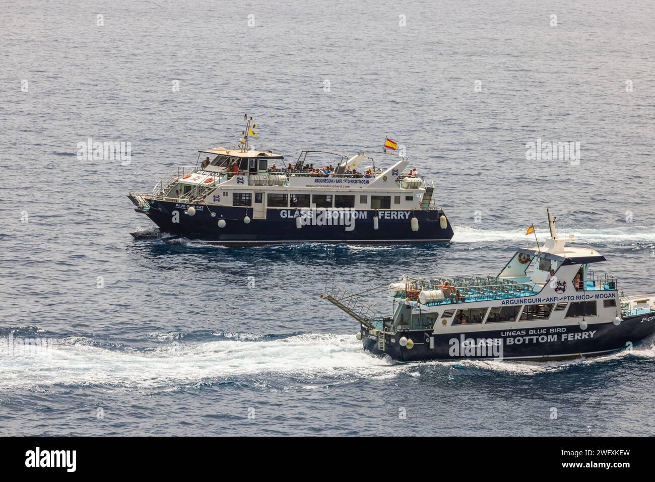 Blue bird ferry lines hi-res stock photography and images - Alamy
