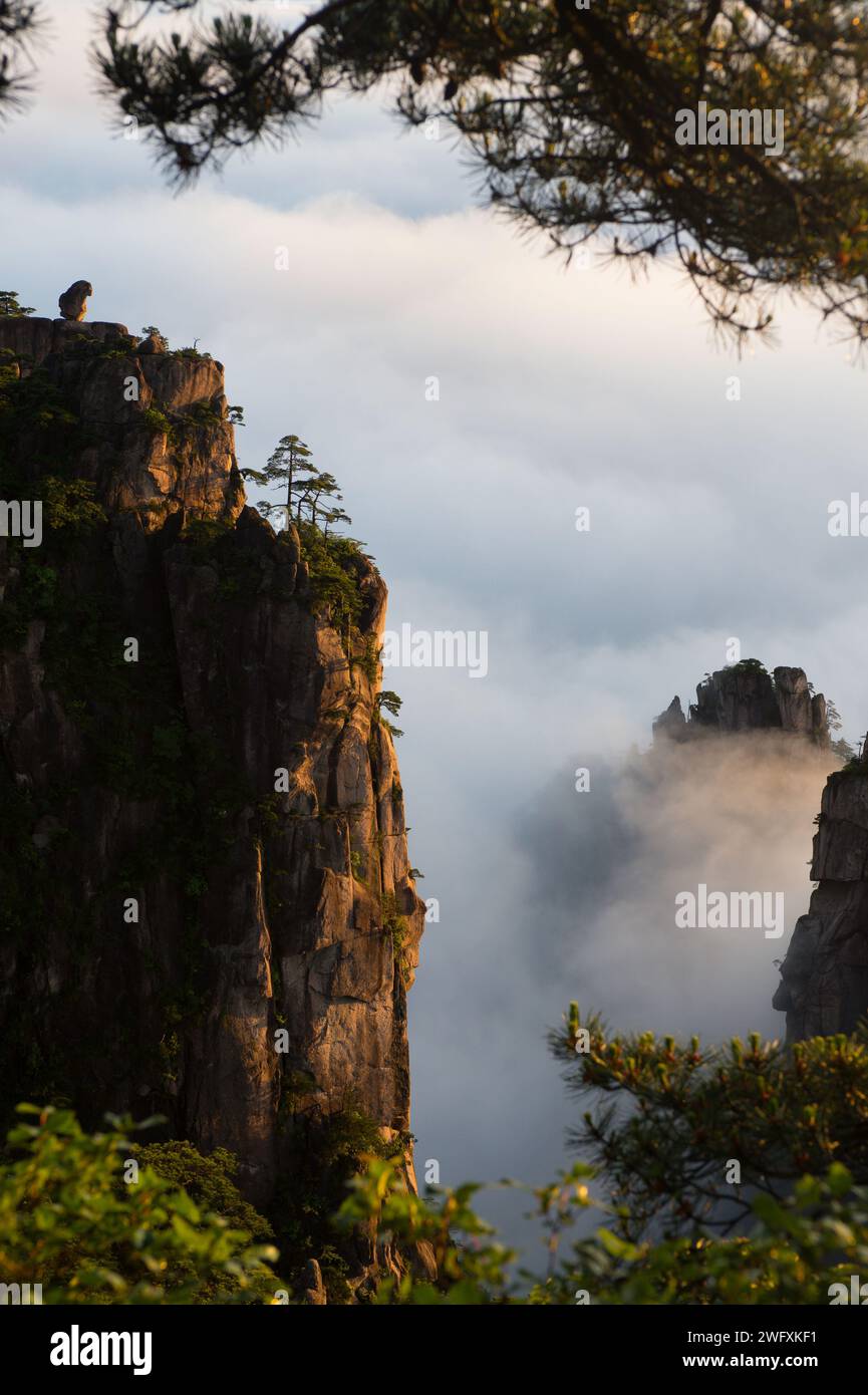 Stone Monkey gazing at the Sea of Clouds in North Sea area of Huangshan ...