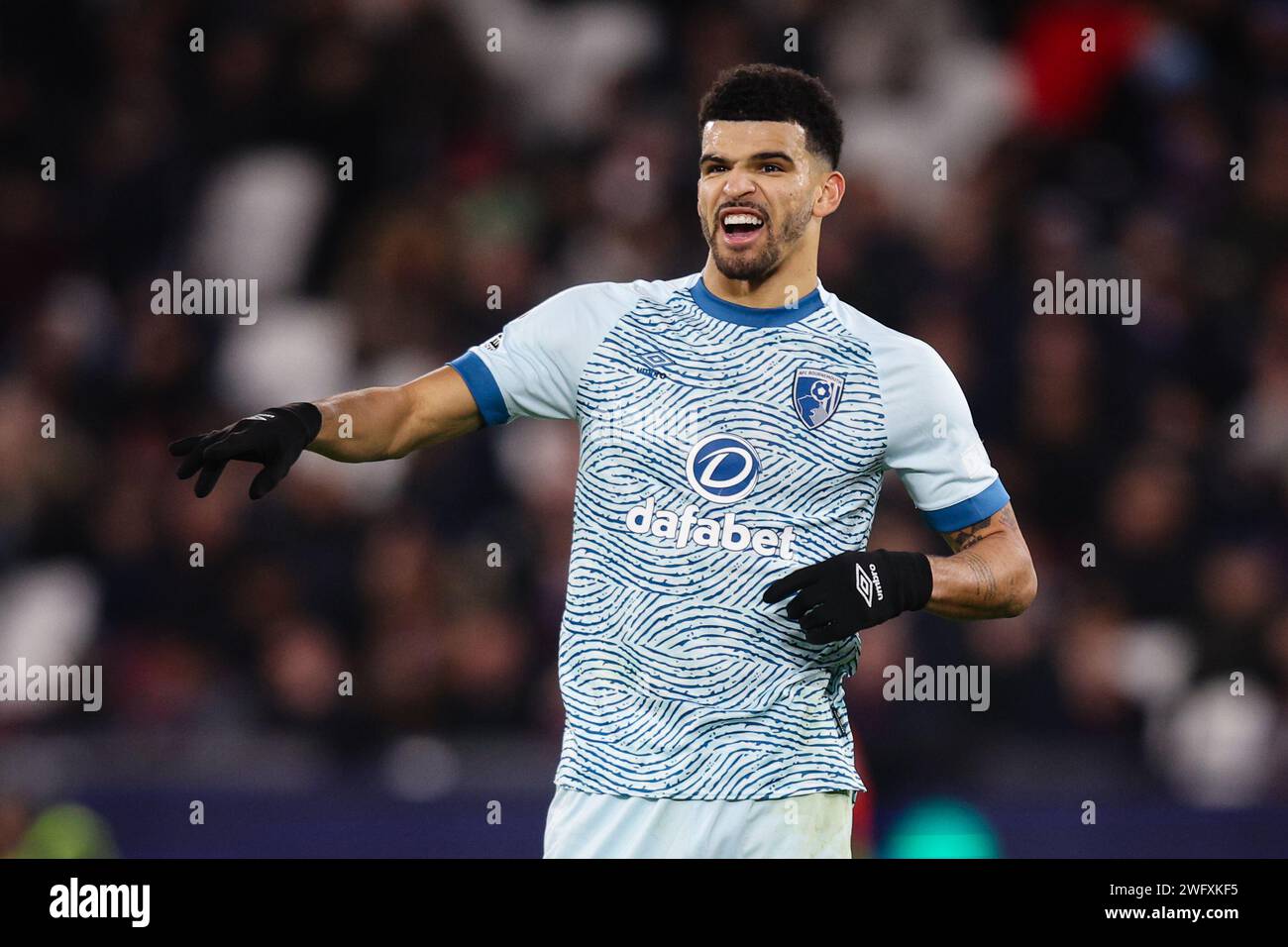 LONDON, UK - 1st Feb 2024: Dominic Solanke of AFC Bournemouth reacts ...
