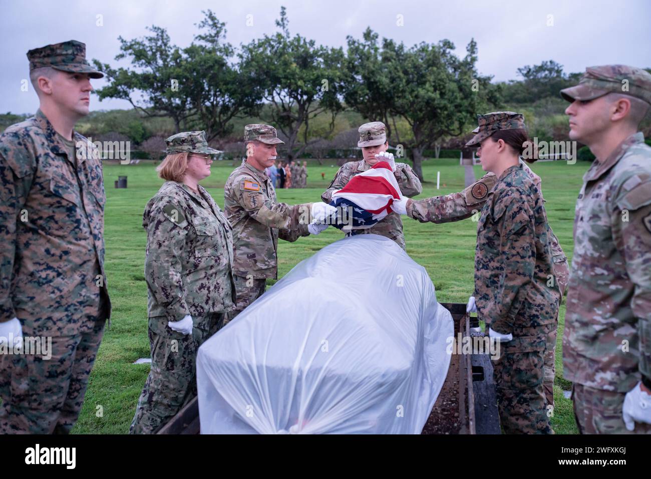 U.S. service members assigned to the Defense POW/MIA Accounting Agency ...