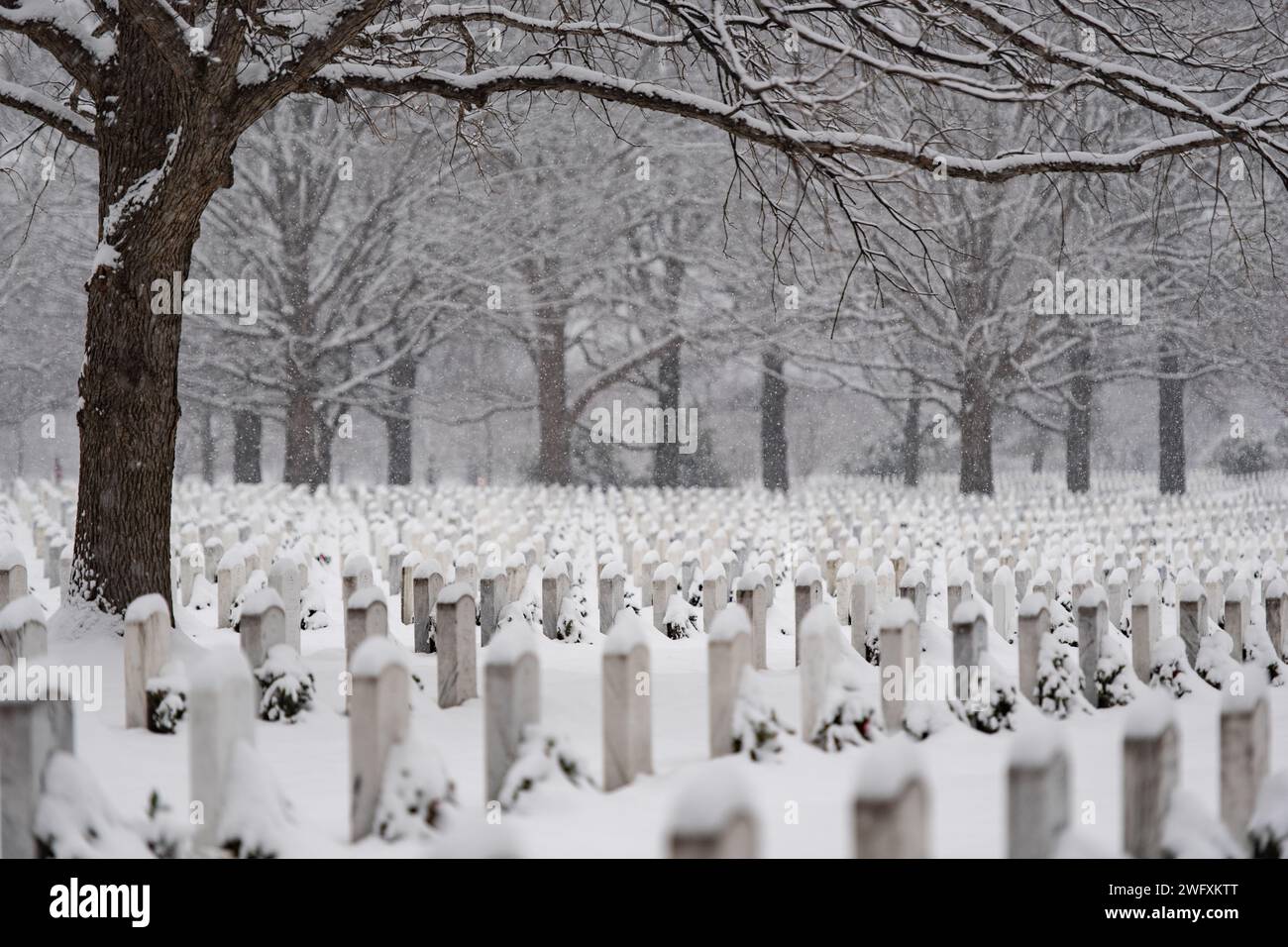 Snow falls at Arlington National Cemetery, Arlington, Va., Jan. 19 ...