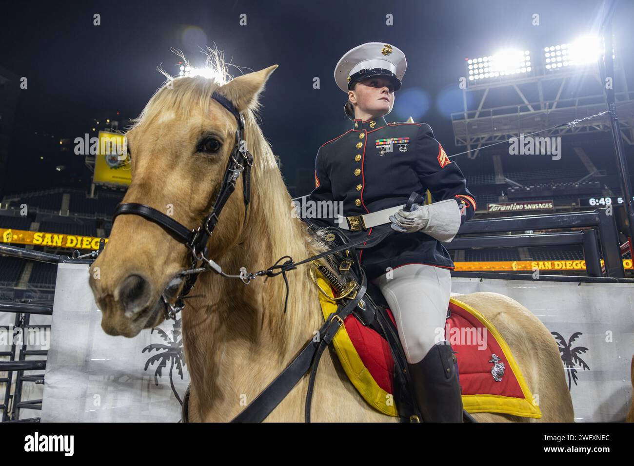 U.S. Marine Corps Cpl. Natasha Ochsner, with the Marine Corps Mounted ...