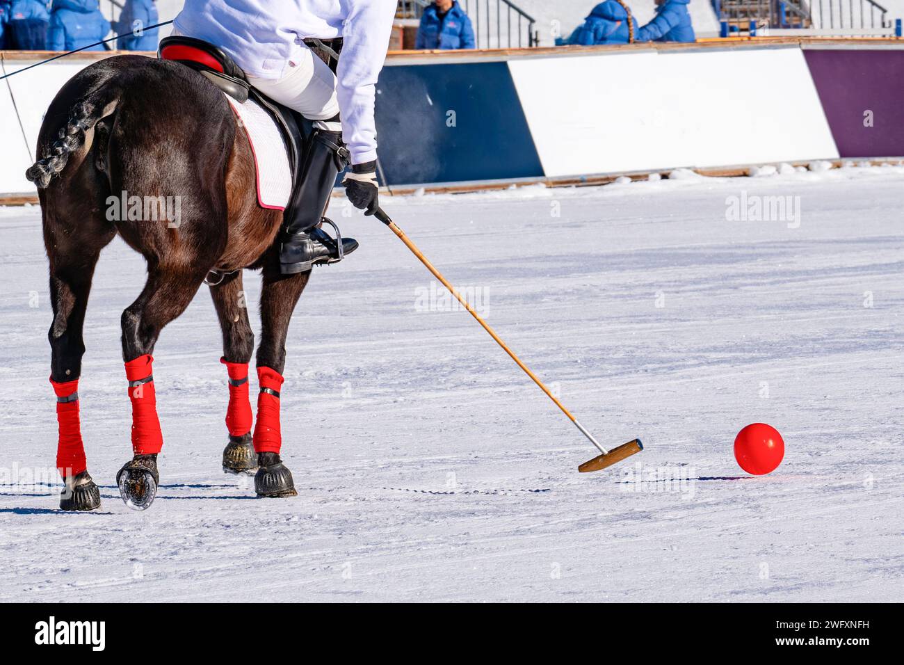 Detail of snow polo game Stock Photo - Alamy