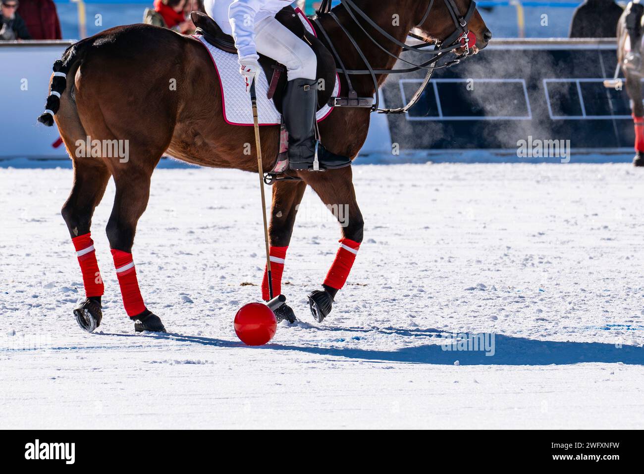 Swiss polo club hi-res stock photography and images - Alamy