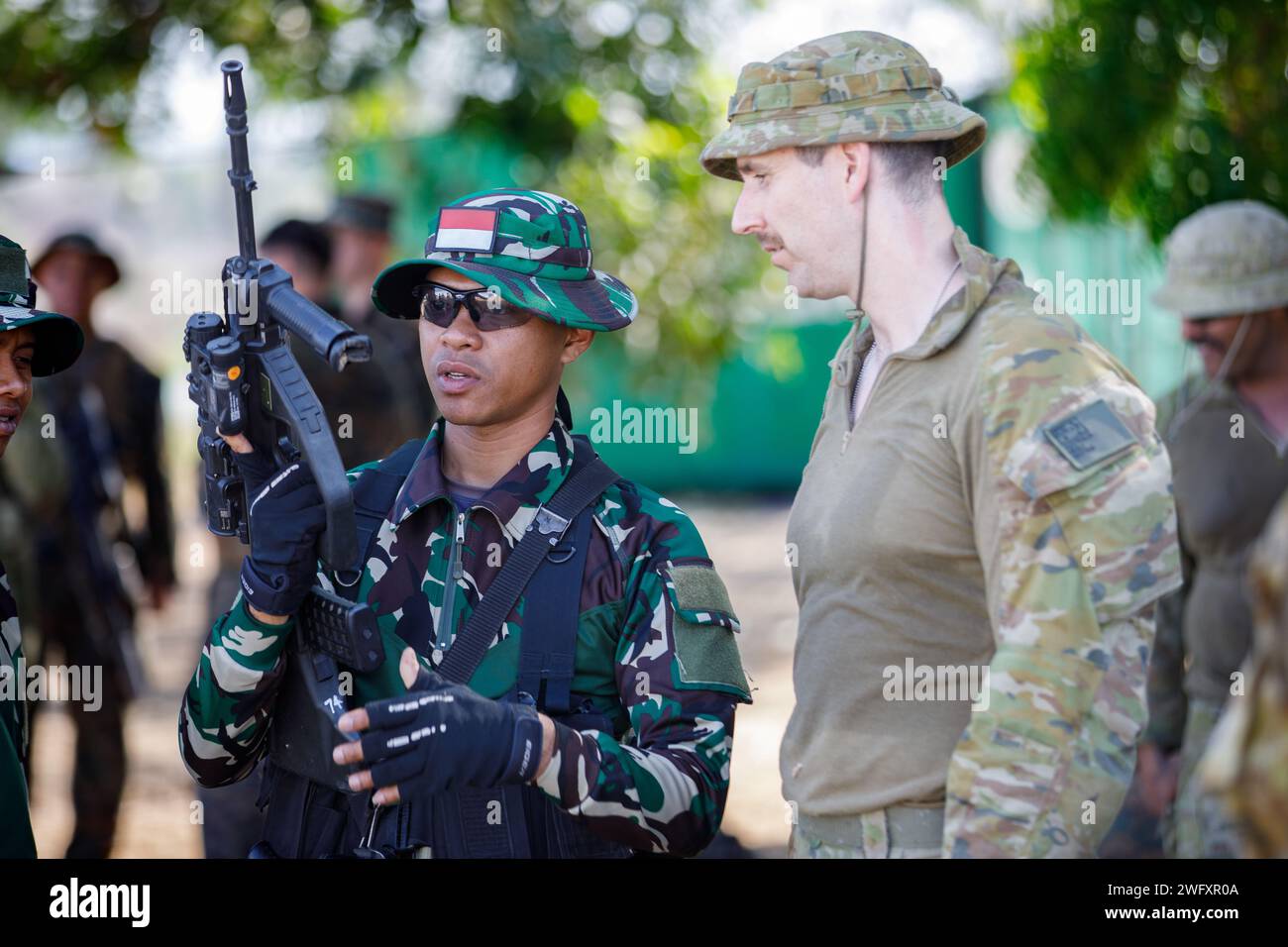 Java expert hi-res stock photography and images - Alamy