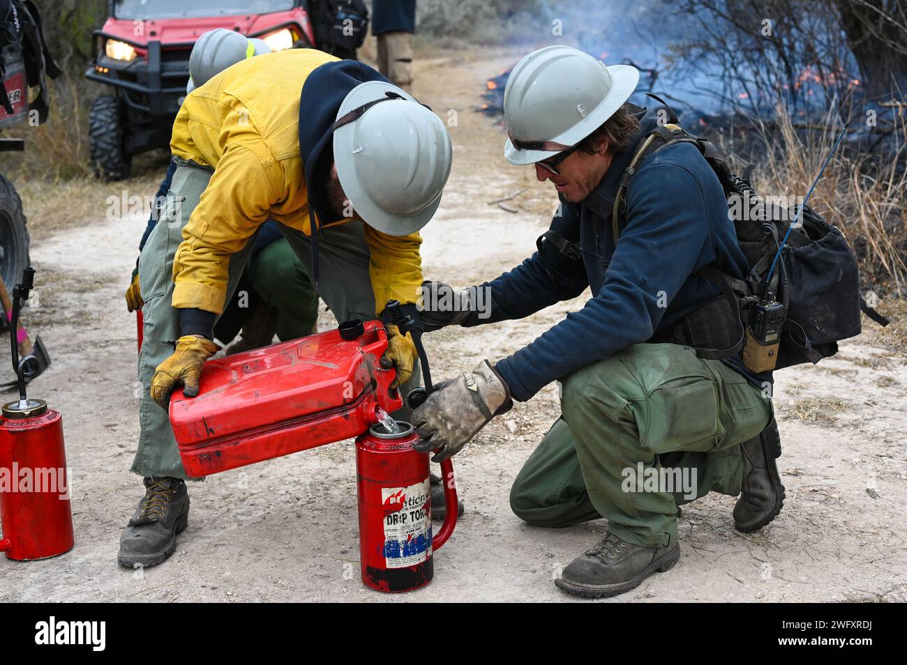Critical ecosystem hi-res stock photography and images - Alamy