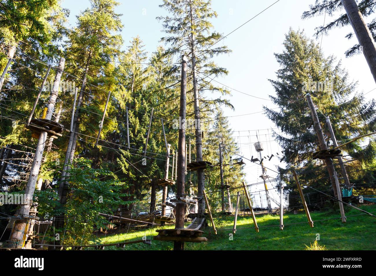 Rope-way in adventure park. Empty extreme rope park with ziplines ...