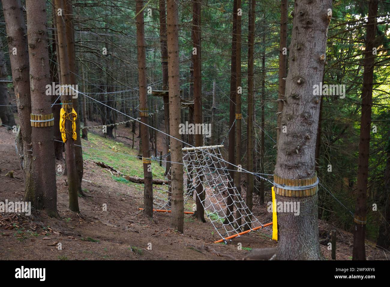 Rope-way in adventure park. Empty extreme rope park with ziplines ...