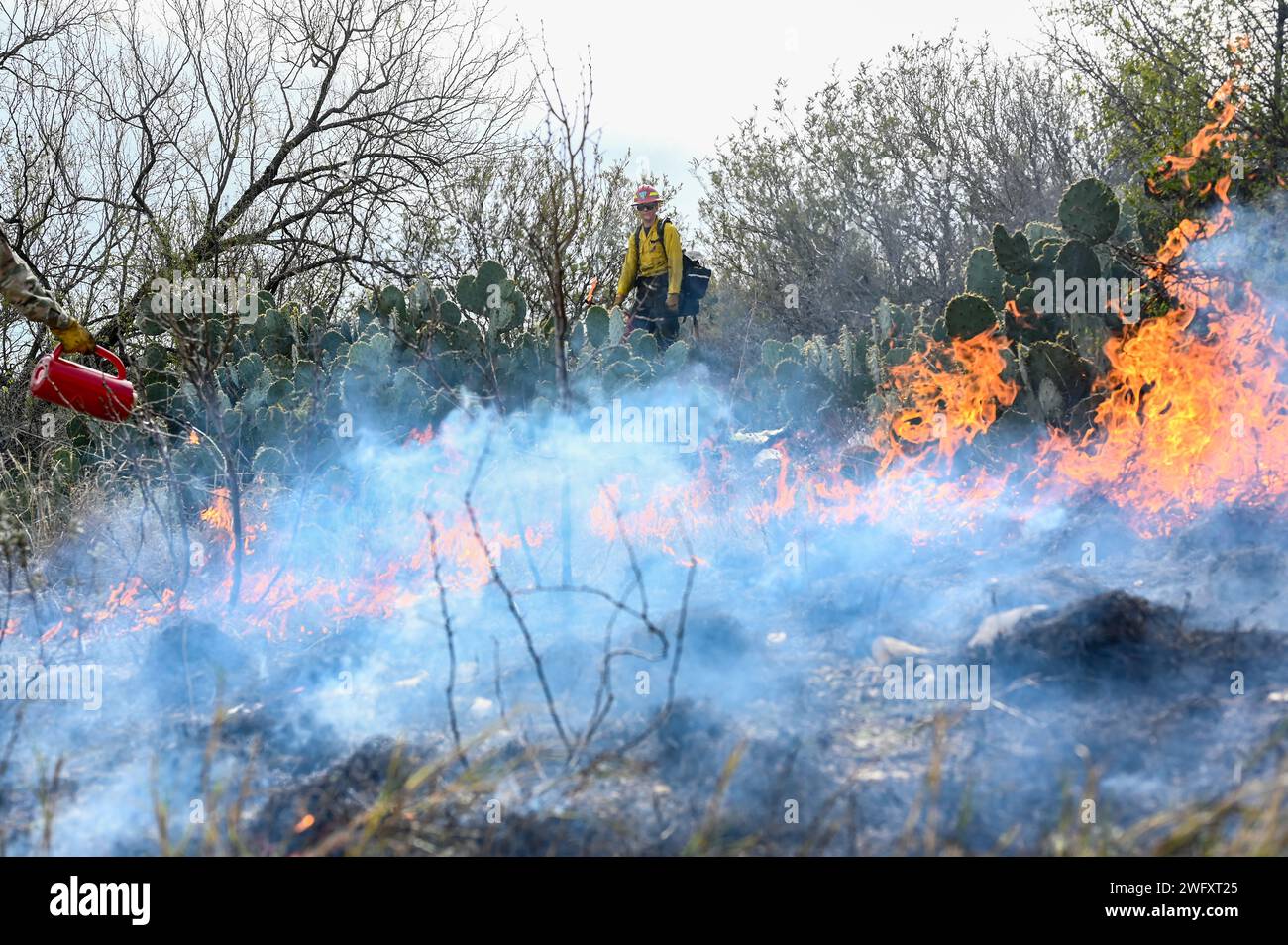 Wildland fire branch hi-res stock photography and images - Alamy