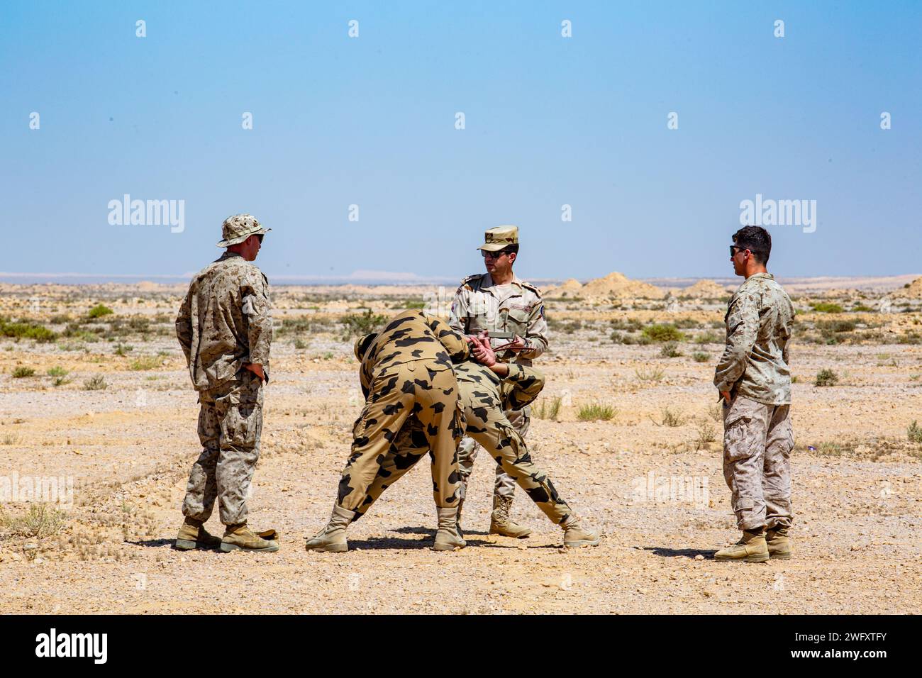 U.S. Marine Corps with 4th Law Enforcement Battalion, Force ...