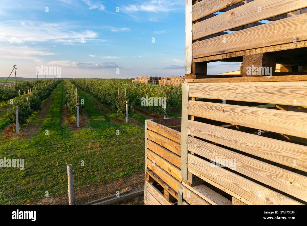 Boxes pallet hi-res stock photography and images - Alamy