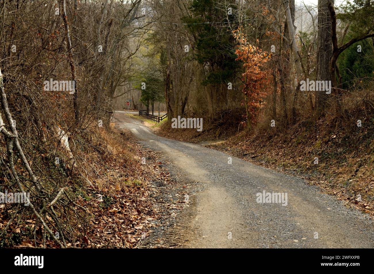 DATE: 02012024; Hoysville Road on is the old road heading into the ...