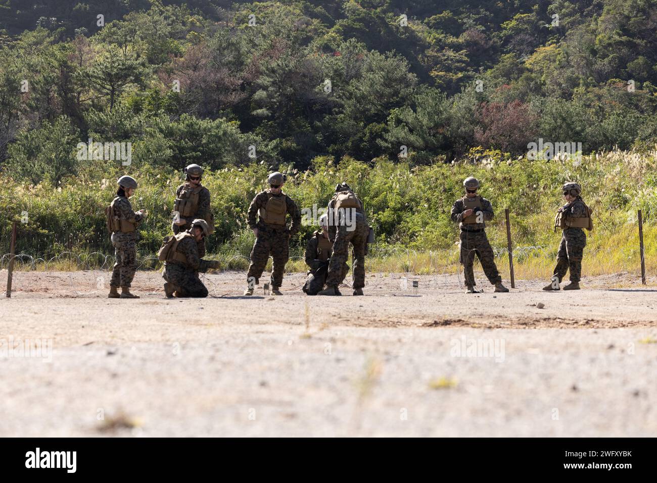 U.S. Marines set up a ring line for their expedient shape charges ...