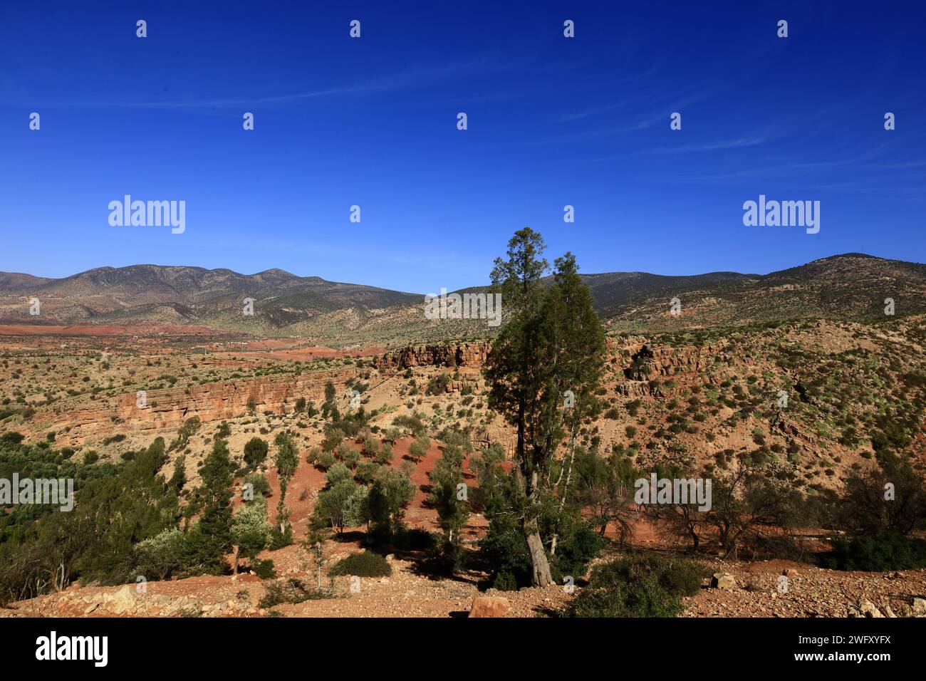 View on a mountain in the Middle Atlas is a mountain range in Morocco ...