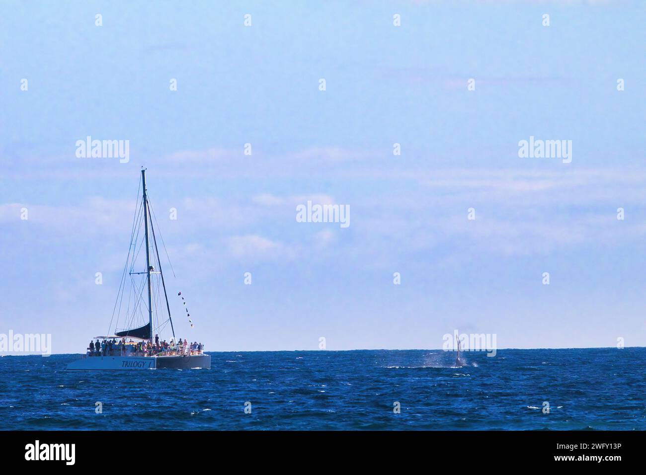 Whale boat humpback hi-res stock photography and images - Alamy