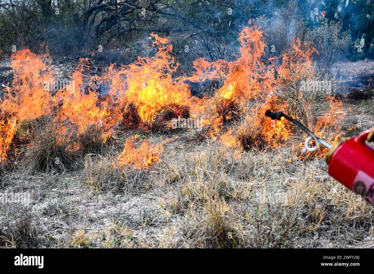 Fire burns in a field during a controlled burn at Laughlin Air Force ...