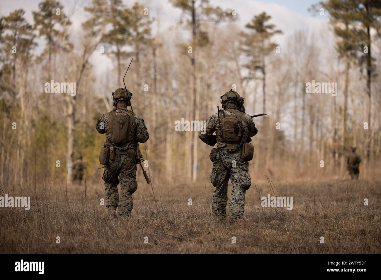 U.S. Marines with Charlie Company, Battalion Landing Team 1/8, 24th ...