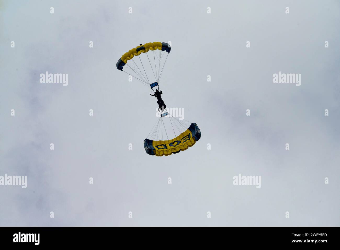 Two U.S. Navy Parachute Team members conduct tandem skydiving ...