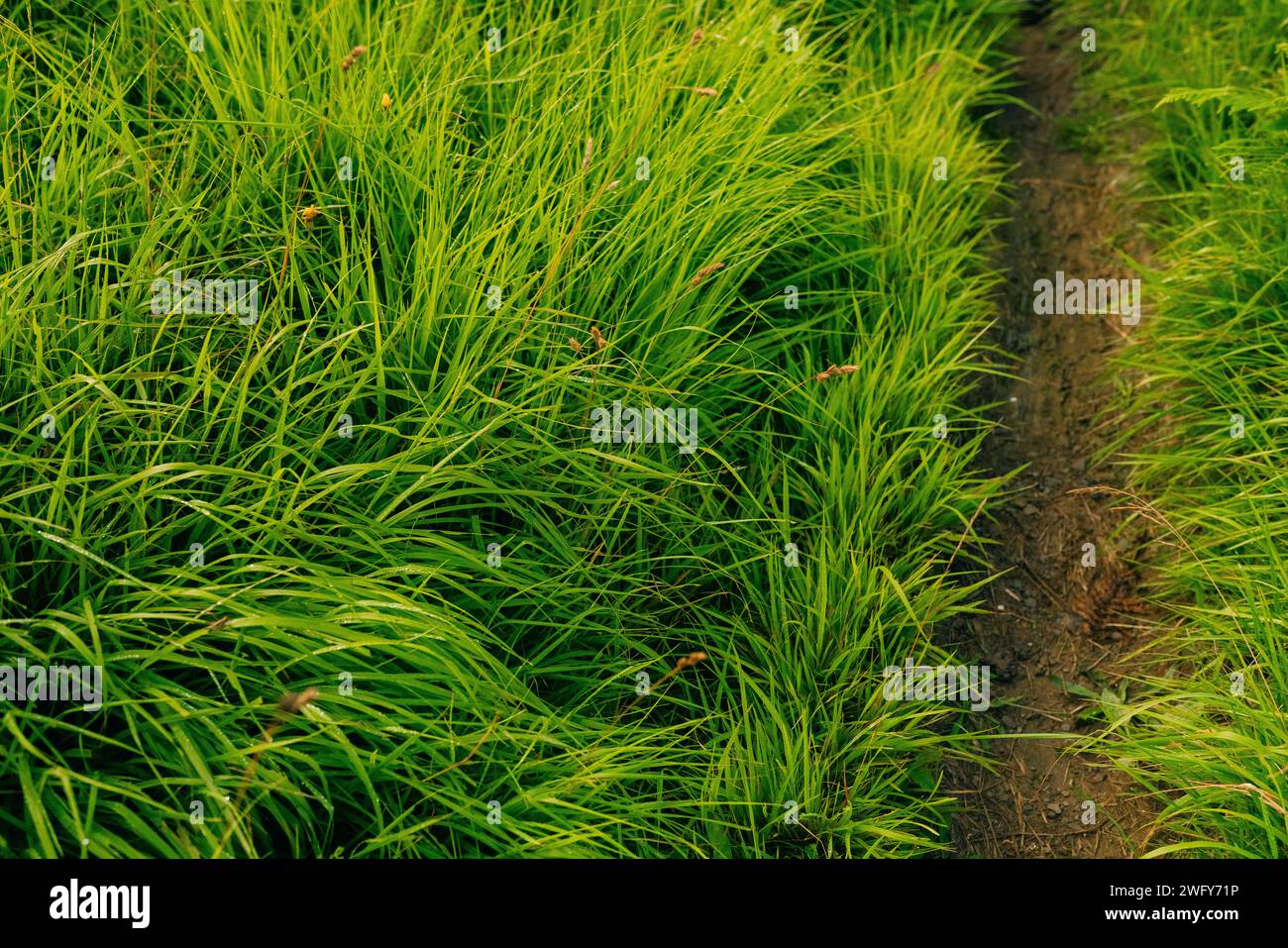 Top view land form in hi-res stock photography and images - Alamy