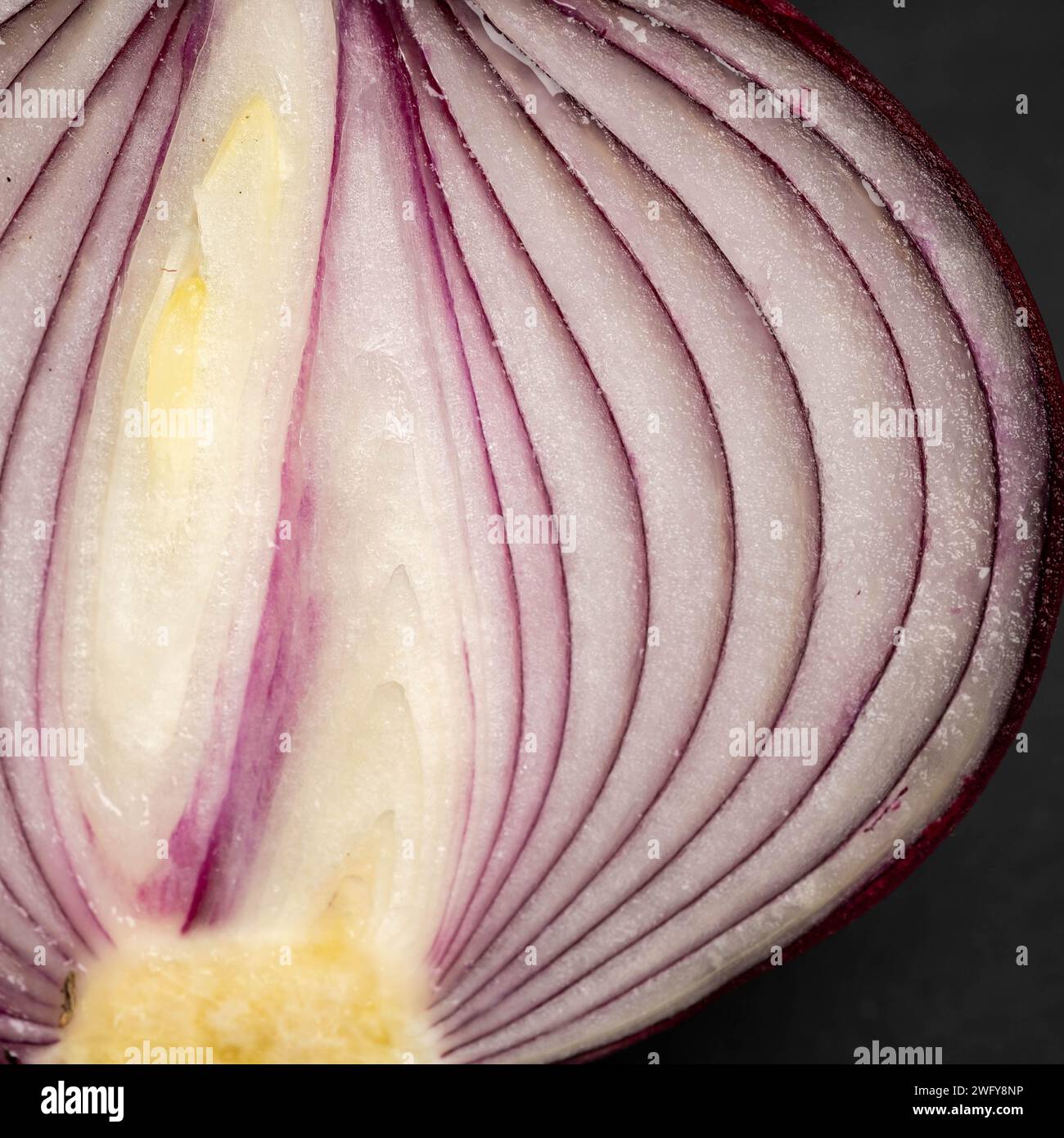 Sharp Freshly Cut Onion Stock Photo - Alamy