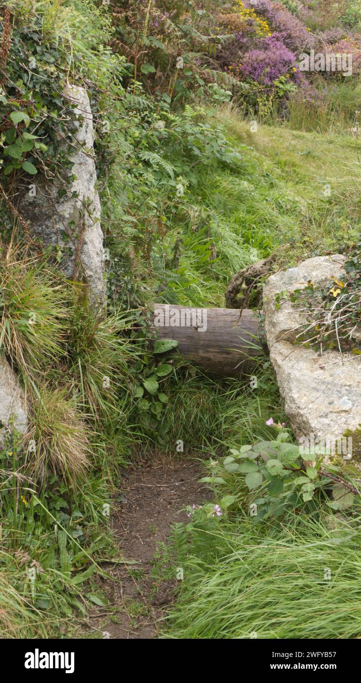 Old stone and wood Cornish stile Stock Photo - Alamy