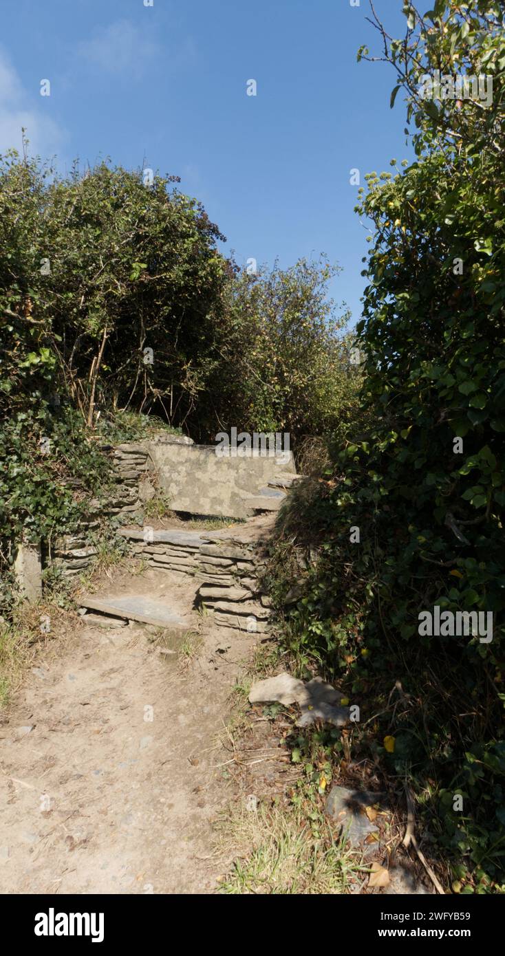 Old stone Cornish stile Stock Photo - Alamy