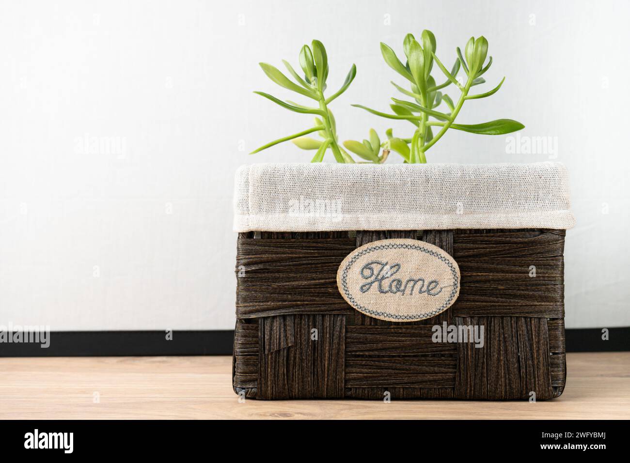 Concept healthy indoor environment hi-res stock photography and images ...