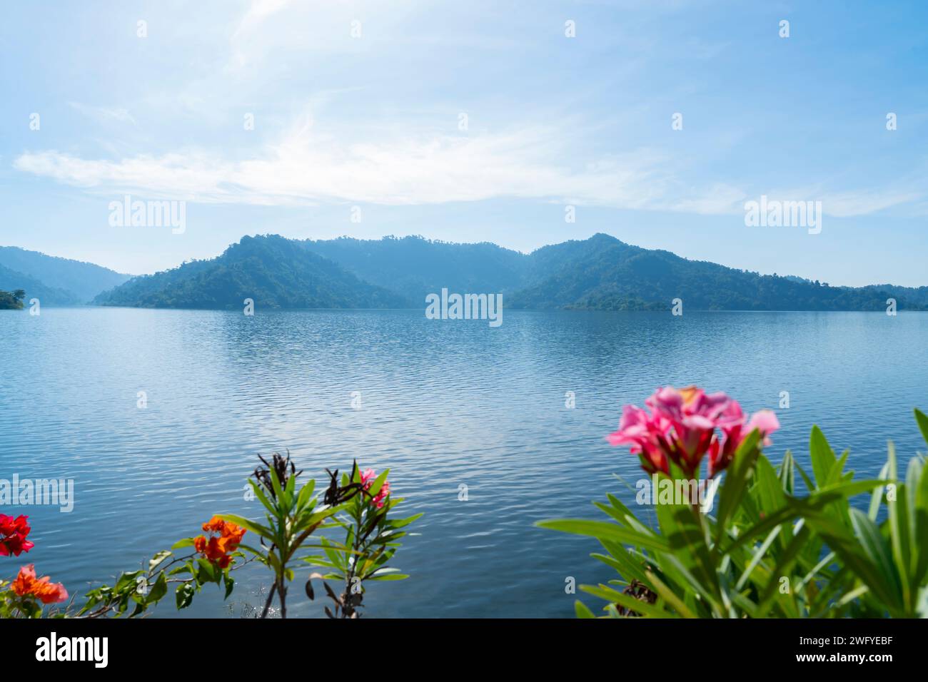 Mountain and water source from dam and pretty spring flower foreground ...