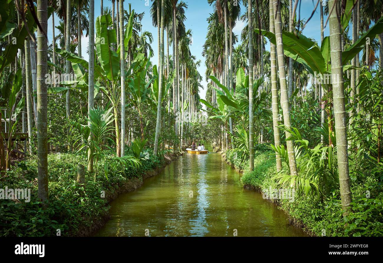 Asian family kayaking on the river in a beautiful place outside Bangkok ...