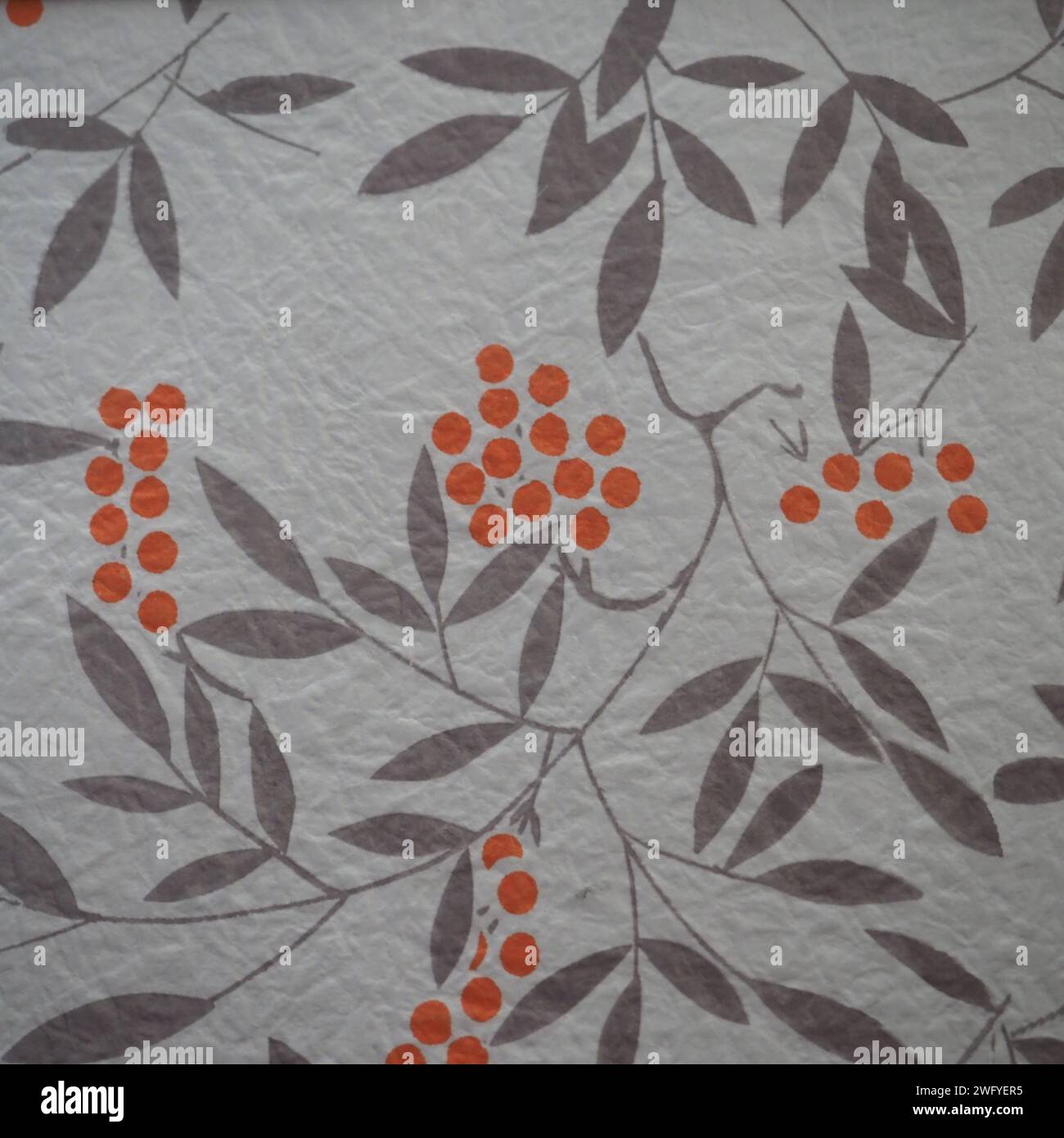 Traditional Japanese patterns - botanical theme with red berries Stock ...