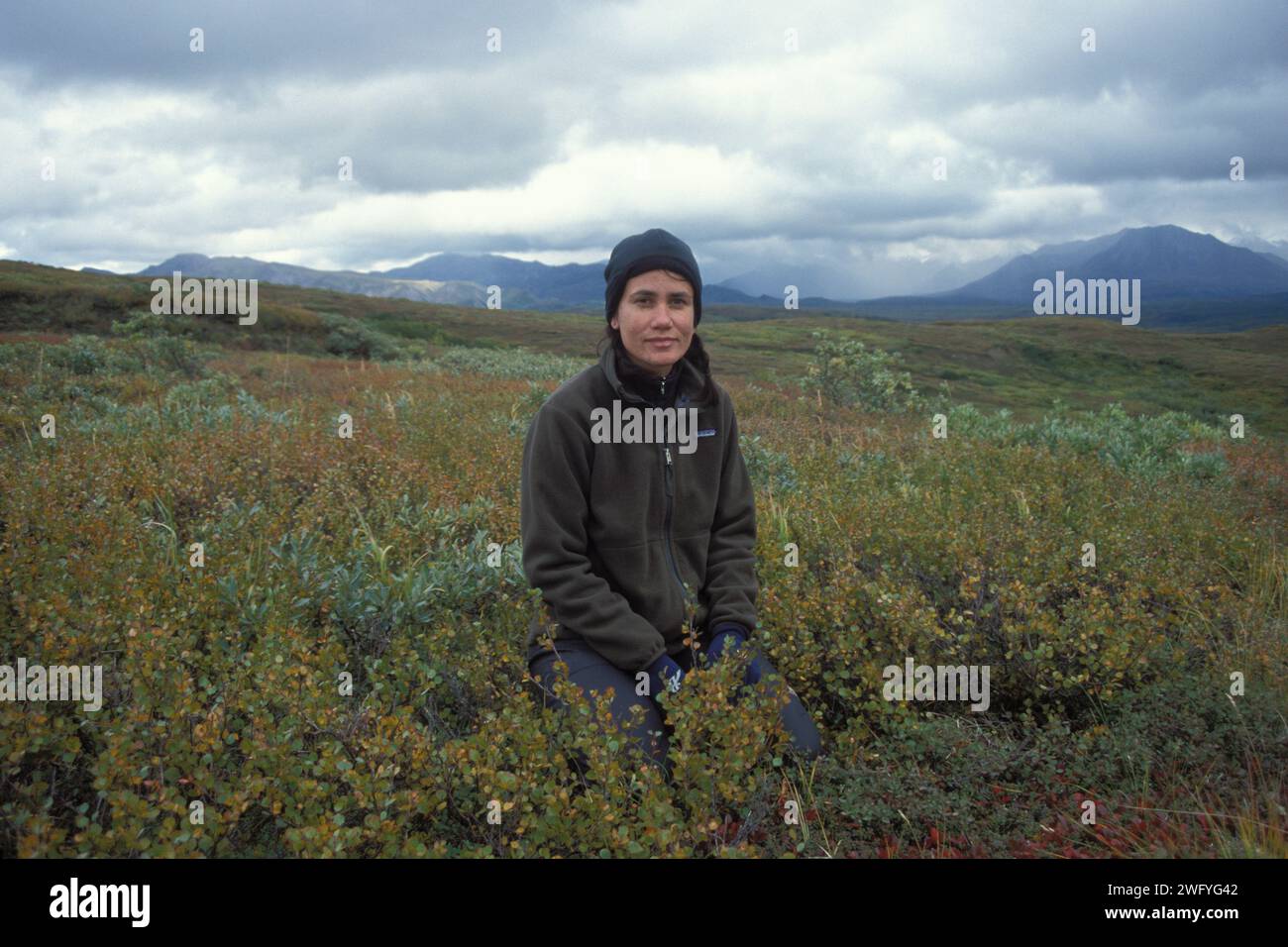 Indian native first nations hiker Sunny Coulson picking blueberries in ...
