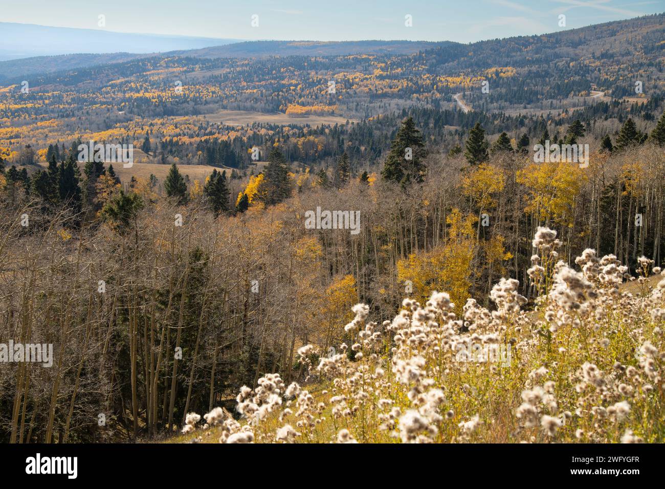 Brazos summit hi-res stock photography and images - Alamy