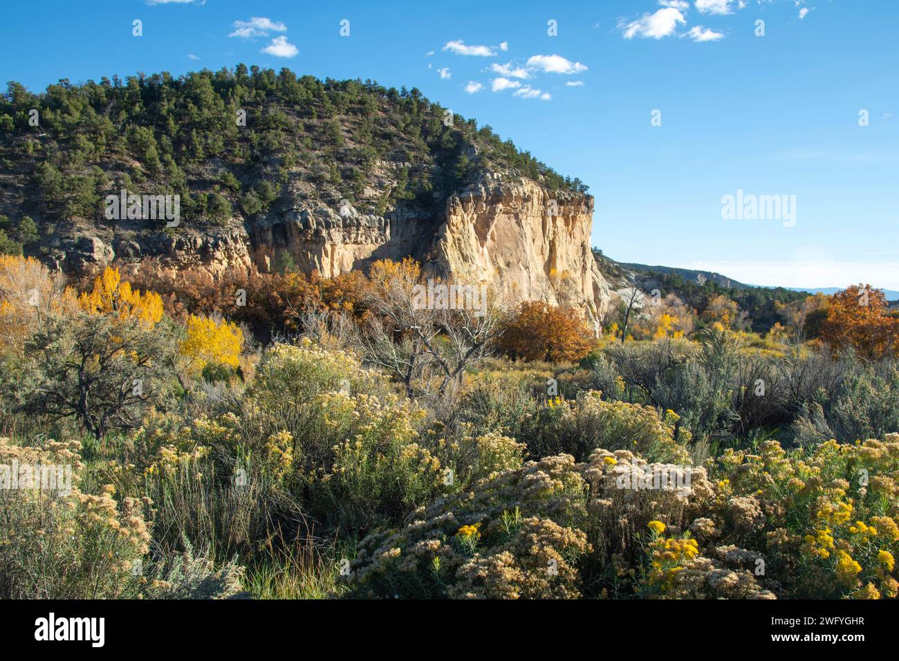 Fall colors and desert brush surround a prominent rock formation on U.S ...