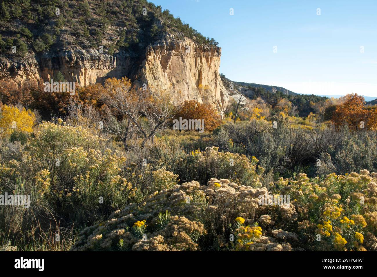 Fall colors and desert brush surround a prominent rock formation on U.S ...