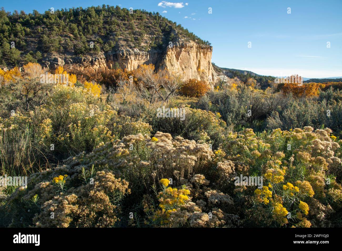 Fall colors and desert brush surround a prominent rock formation on U.S ...