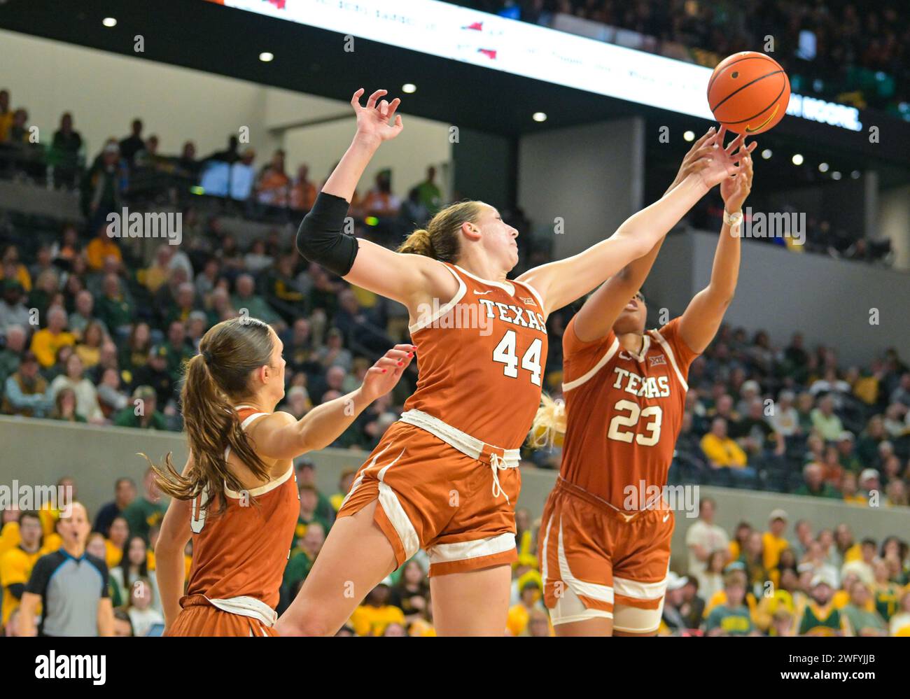 February 1 2024: Texas Longhorns forward Taylor Jones (44) and Texas ...
