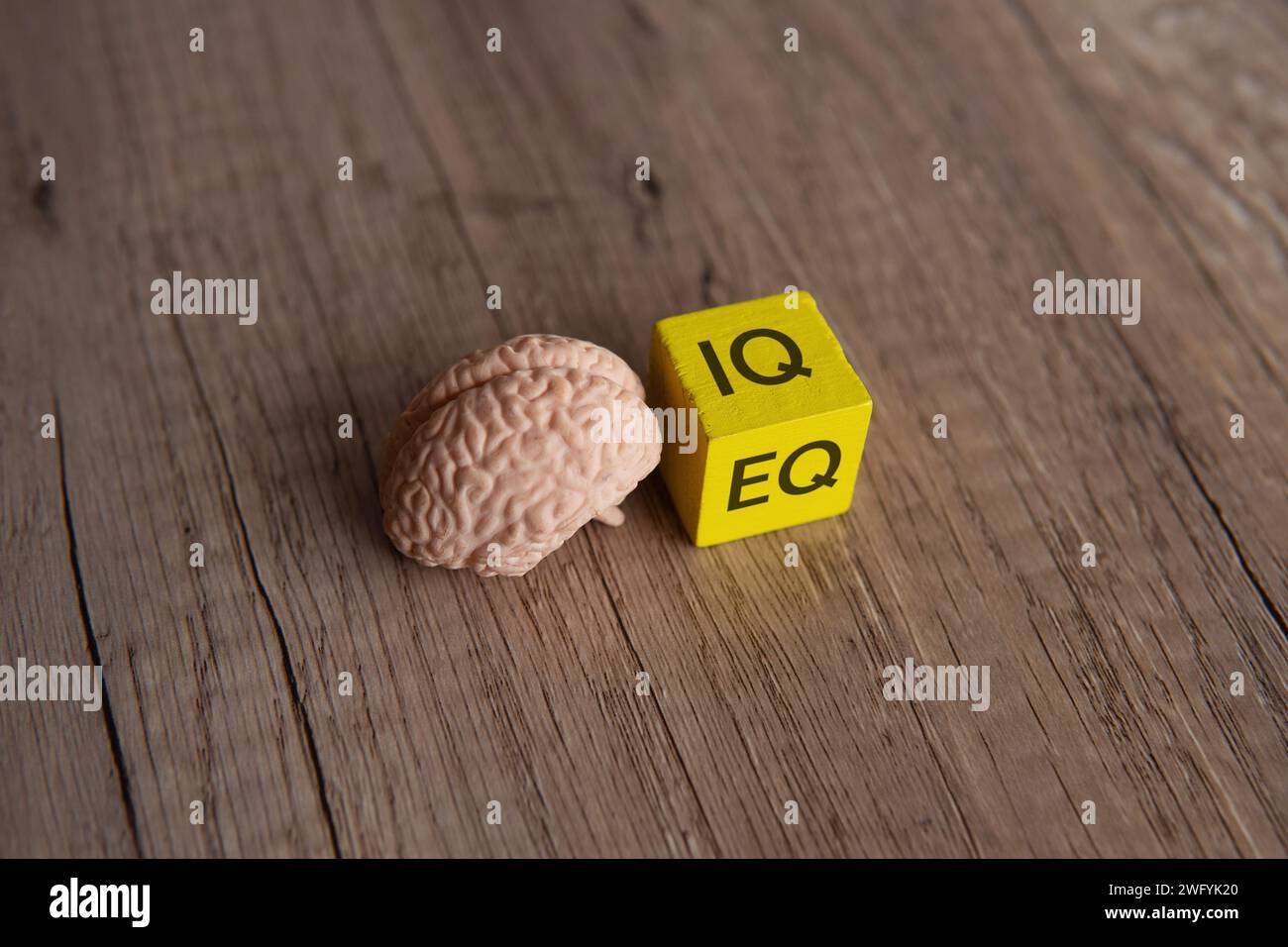 Human brain and wooden cube with word IQ and EQ. Copy space for text ...